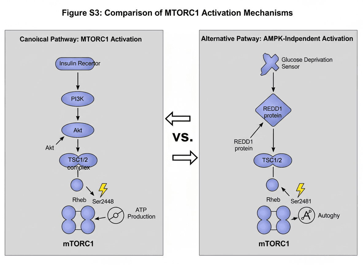 Nature, Science, Cell Figure Requirements: Size, DPI, Format Cheat ...