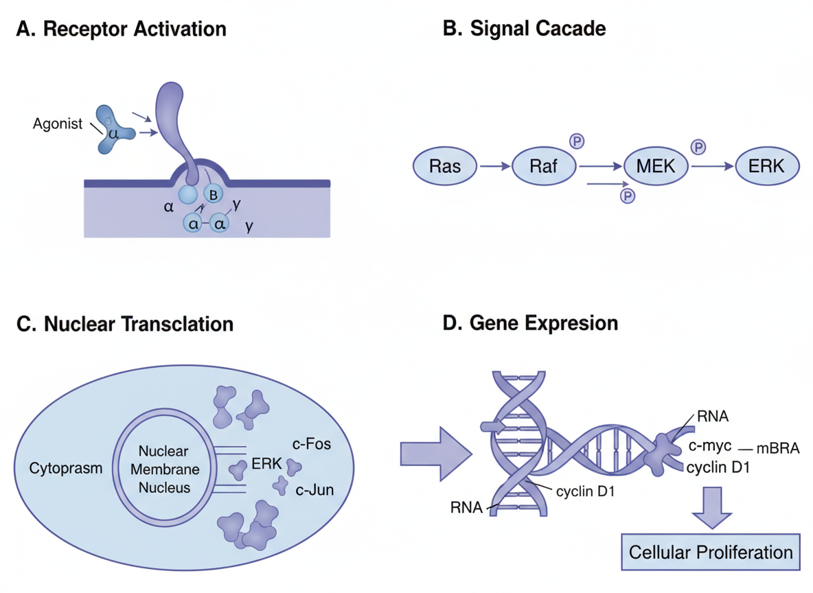 Cómo convertir imágenes para cumplir con los requisitos de figuras de ...